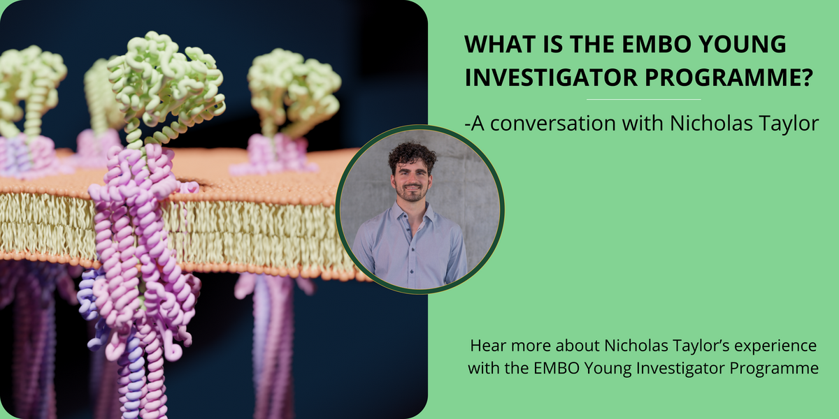 What is the EMBO Young Investigator Programme? A conversation with ...