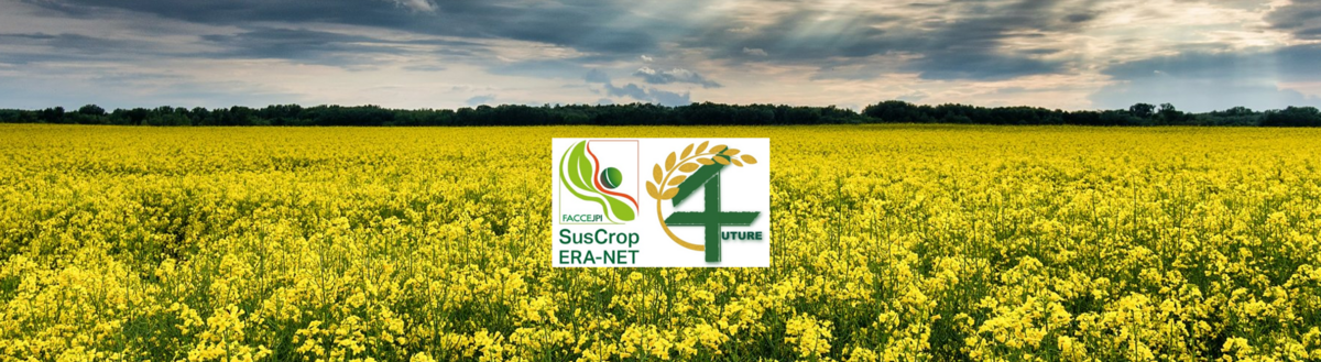 SusCrop and SURPLUS outreach seminar