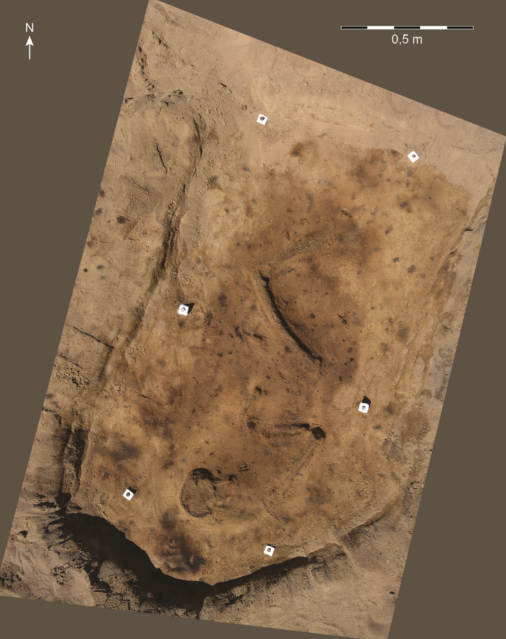 Individual geographic mobility in a Viking-Age emporium – Burial ...